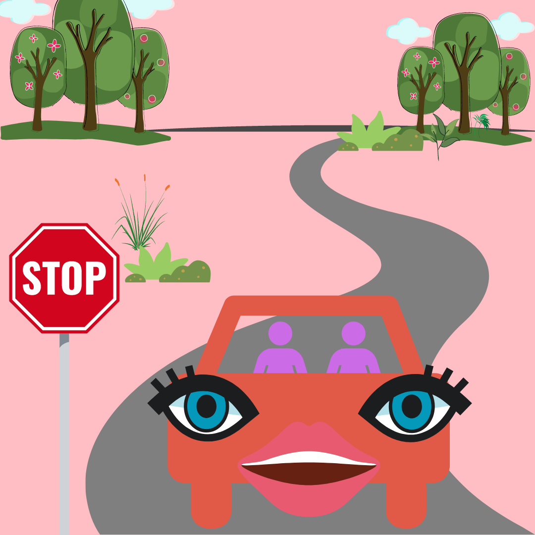 30% Sale On All Girls Driving School Packages (E-Learning & In-Car ...