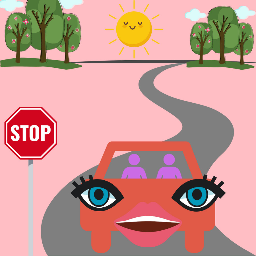 Enhanced Package (E-Learning & In-Car) – Allgirlsdrivingschool